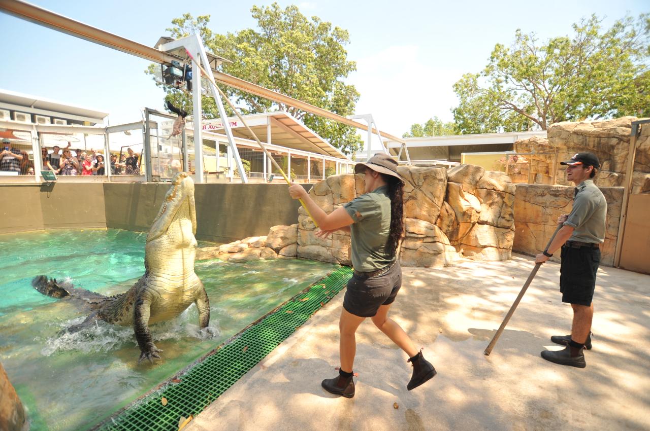 Croc Explorer - Crocosaurus Cove Reservations