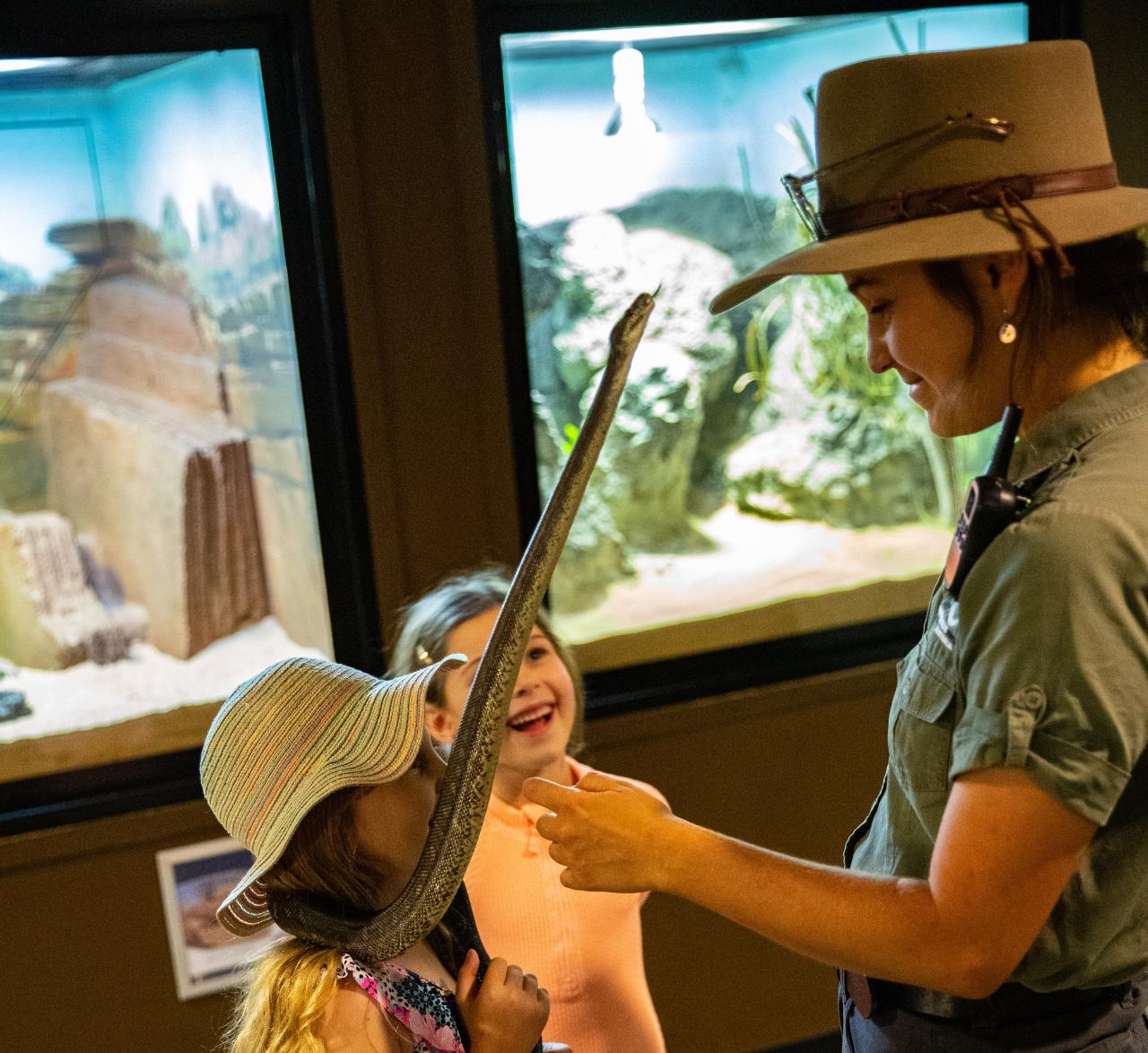 Croc Explorer - Turers - Australia