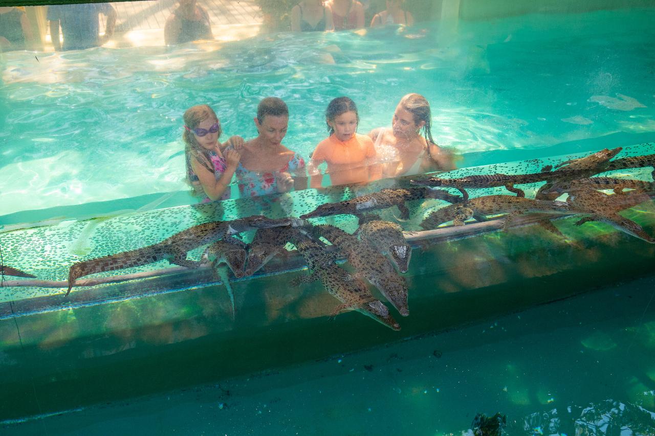 Crocosaurus Cove Entry - Crocosaurus Cove Reservations