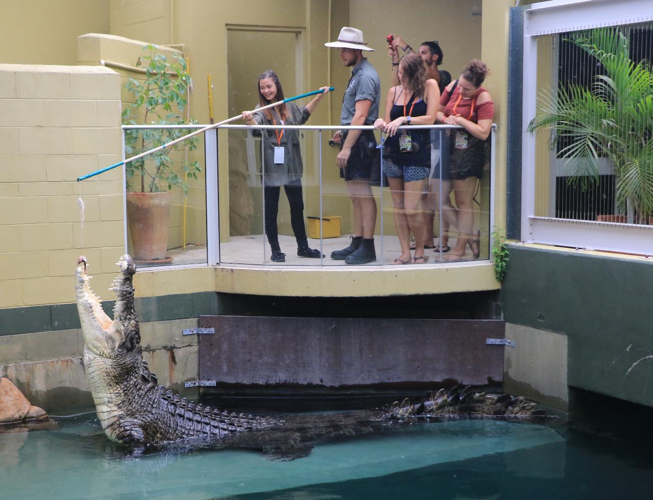 Big Croc Feed VIP Experience - Crocosaurus Cove Reservations