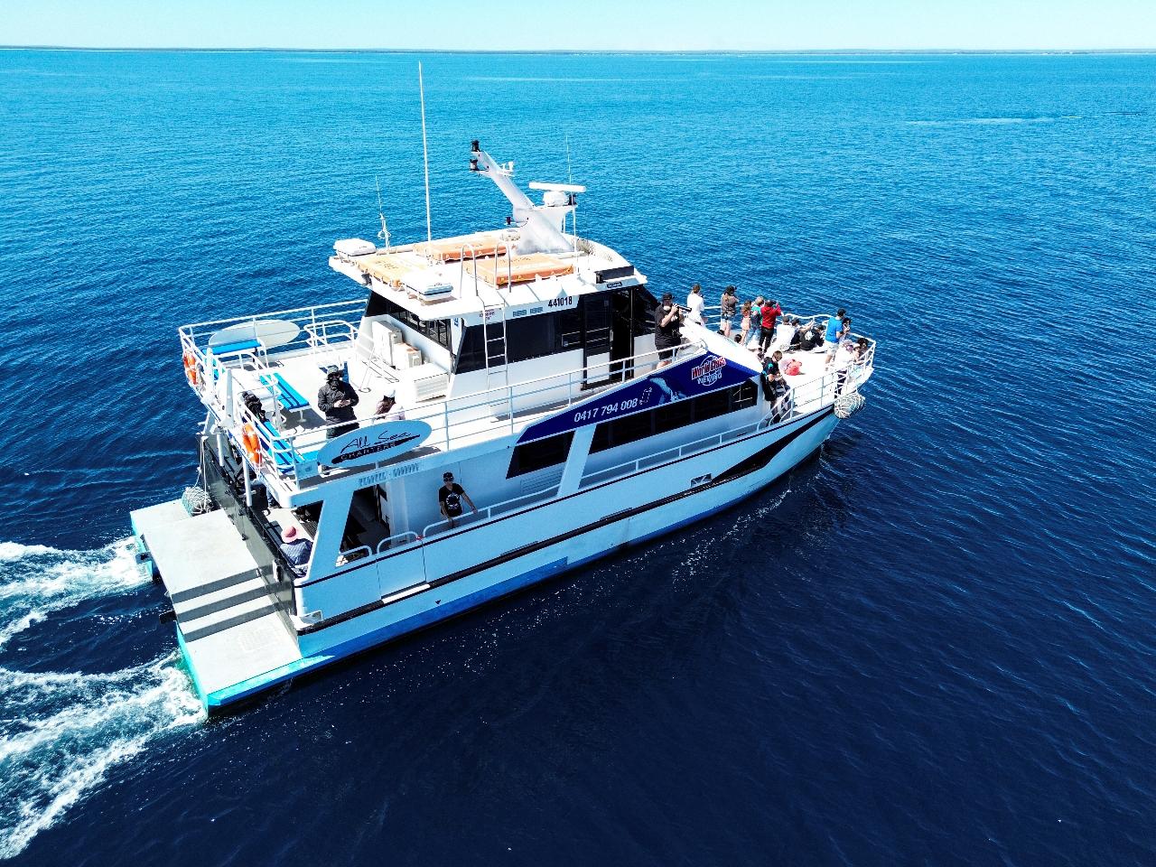 Busselton Whale Watching - Dolphin Discovery Centre Bunbury Reservations