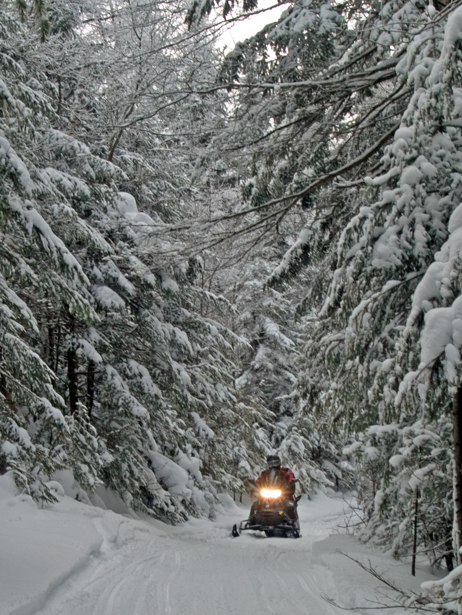 White Mountain Expedition Tour (Single Rider Snowmobile / Guided ...