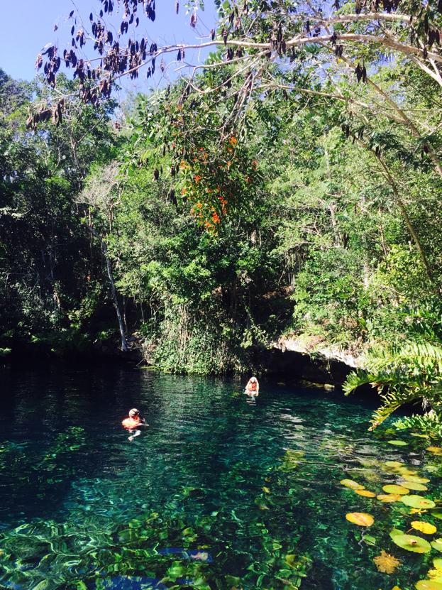 Tulum Jungle Adventure - Private - Tulum Tours - Mexico Kan Tours ...