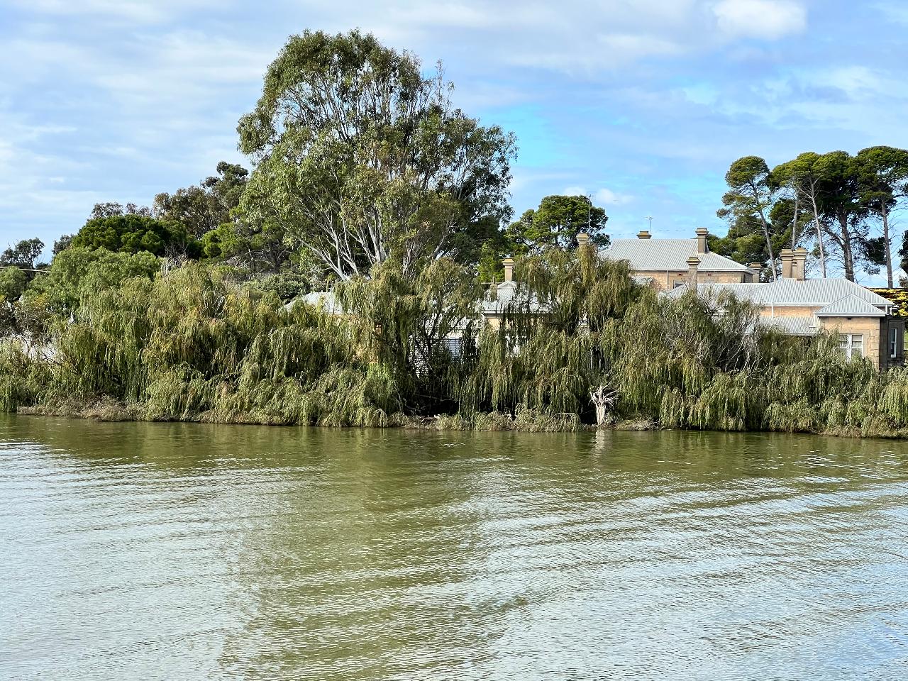 River Murray Day-Cruise - Spirit of the Coorong Reservations