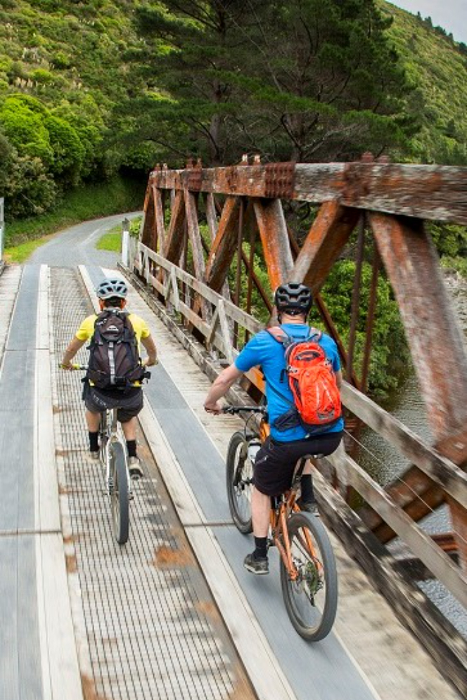 Remutaka Rail Trail Explorer - Shore Excursion @ Cycle Remutaka