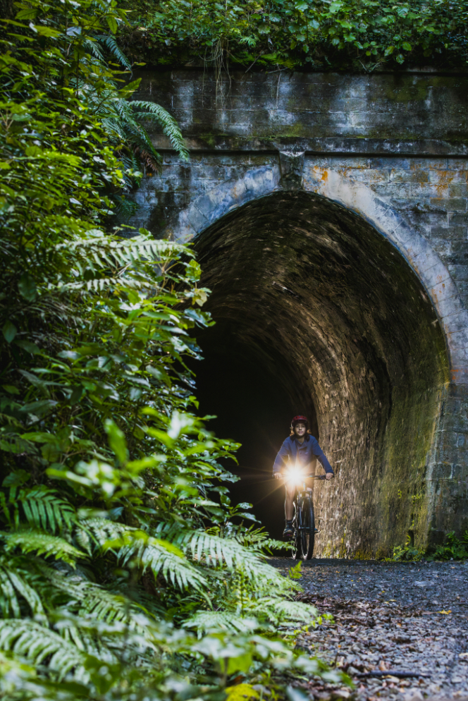 Remutaka Rail Trail Explorer @ Cycle Remutaka