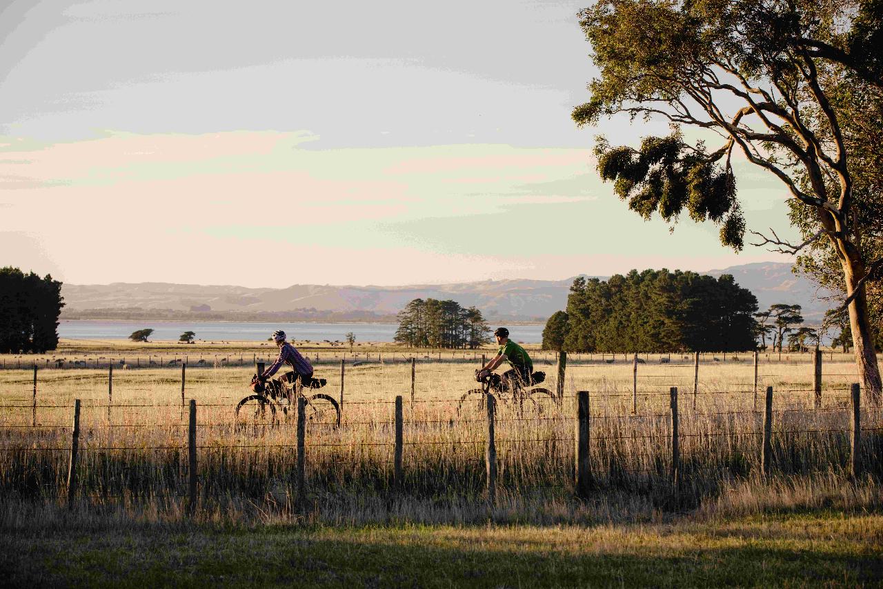 Mountain Bike @ Kaitoke plus shuttle from Cross Creek 2pm or ...