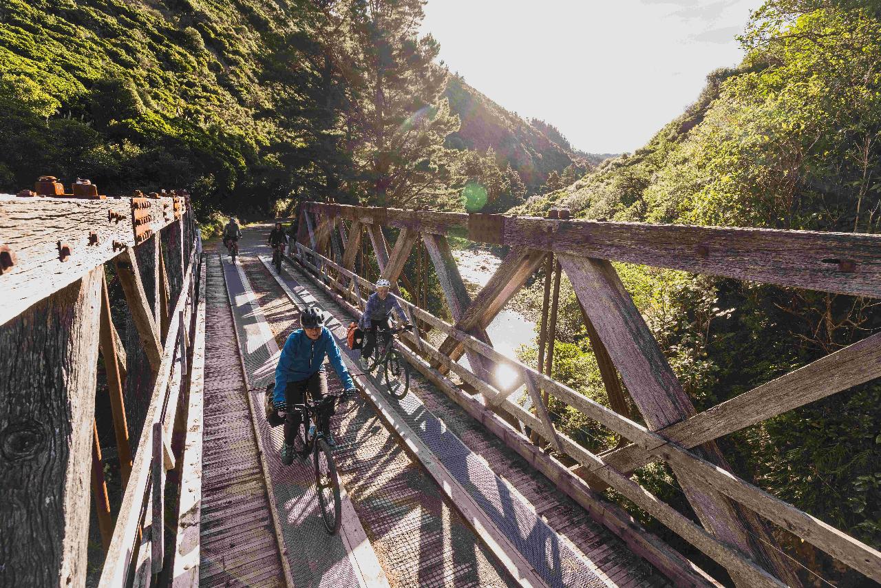 Mountain Bike @ Kaitoke plus shuttle from Cross Creek 2pm or ...
