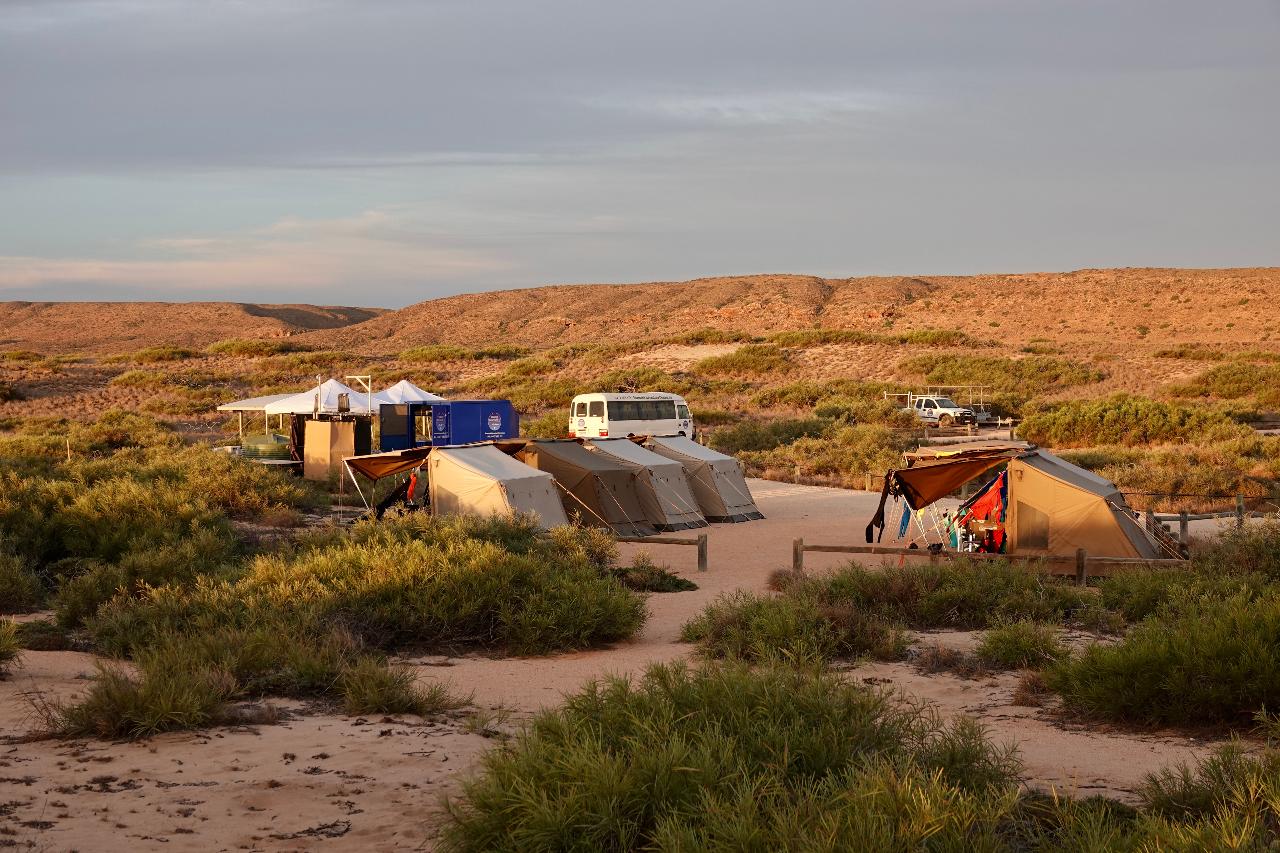 5 Day Ultimate Safari *Citizen Science Departure* | 5-Day Sea Kayak ...