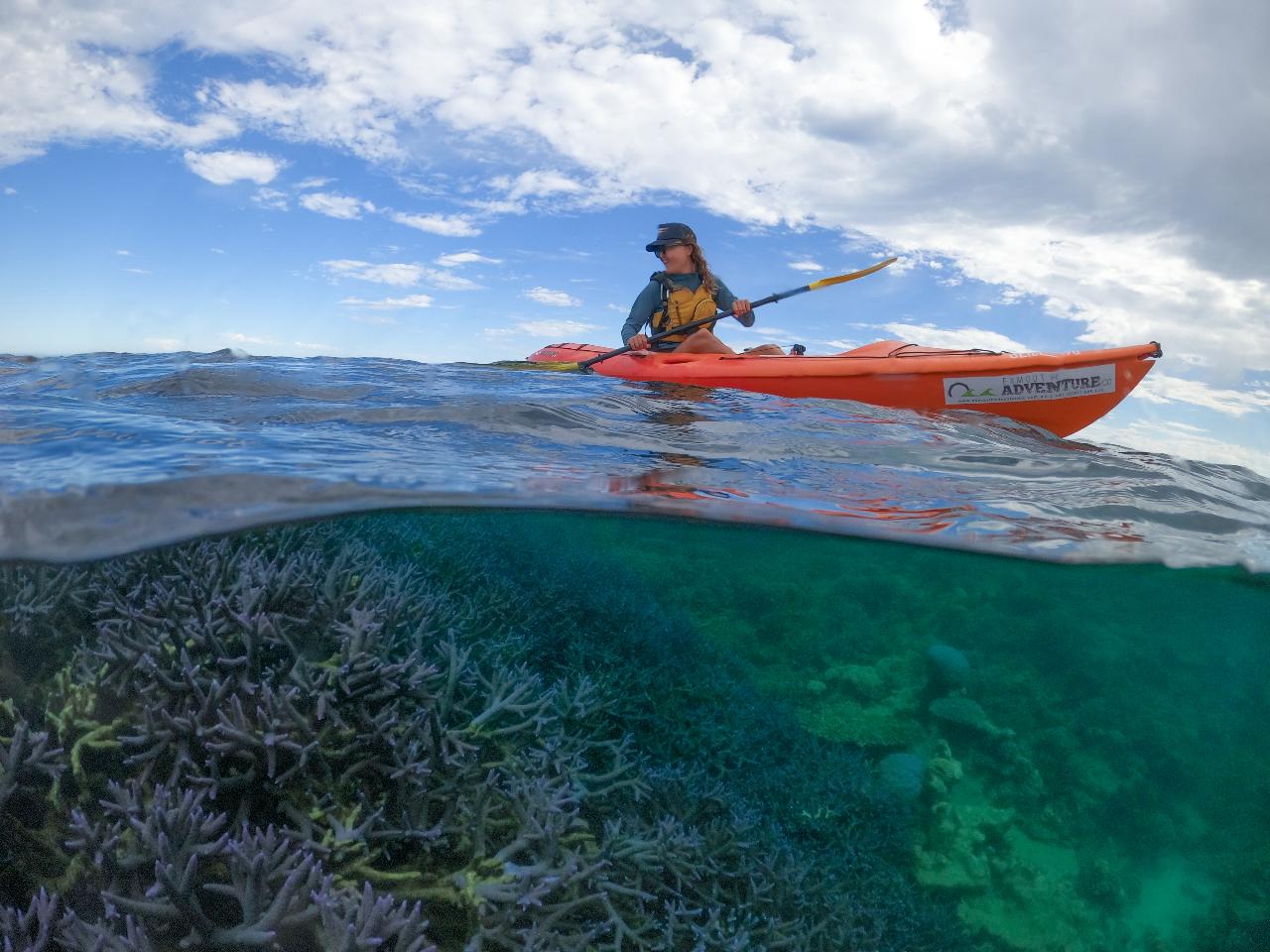 Coral by Kayak