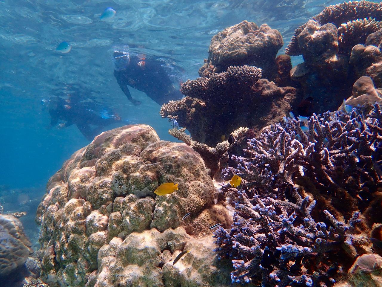 3 Day Ningaloo Reef Kayak Tour