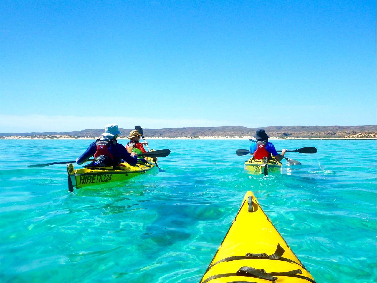 3 Day Ningaloo Reef Kayak Tour