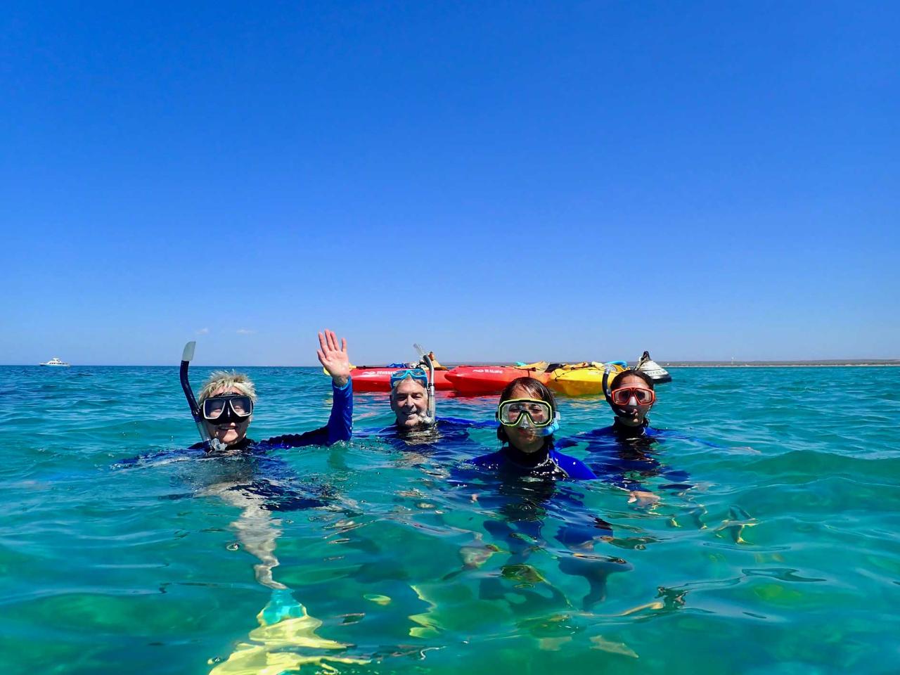 Half Day Kayak & Snorkel Turtle Tour