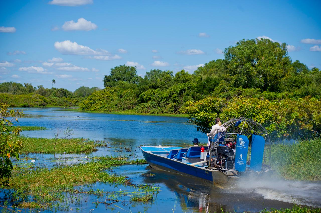 Wetlands Airboat Safari - 90 Minutes - Wildman Wilderness Lodge & Tours ...