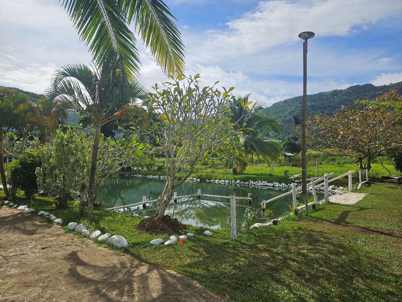 Private Tour : ''Nature's Bliss: Mud & Springs!'' - Valentine Tours Fiji