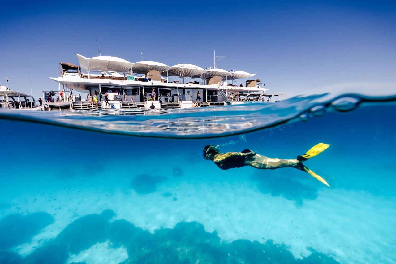 Book 2 Day Iconic Bundaberg Day Tours & Save