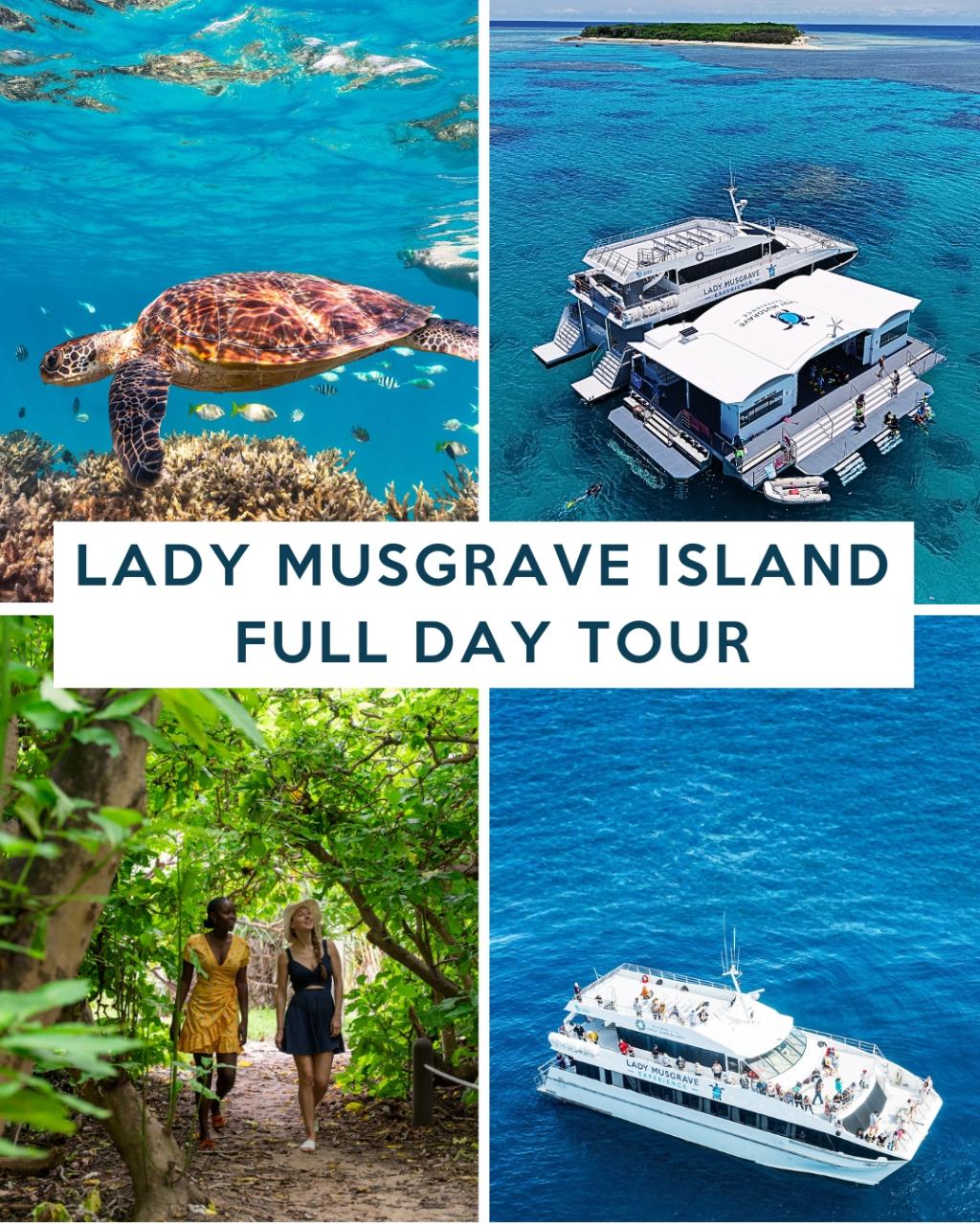 zzz LADY MUSGRAVE ISLAND SNORKELLING DAY TOUR: 29TH DECEMBER - 3RD ...
