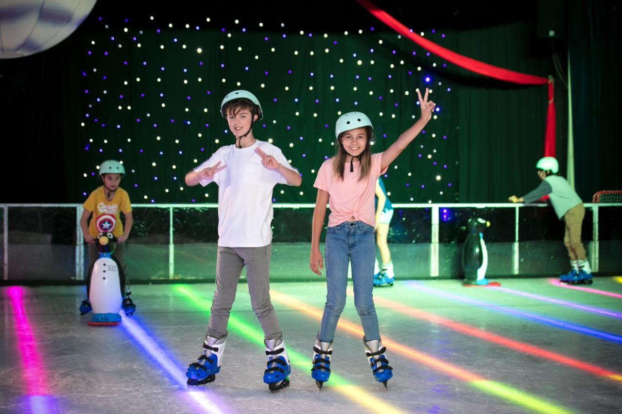 Disco Ice-Skating Party (min. 10 Guests) - Paradise Resort Gold Coast ...