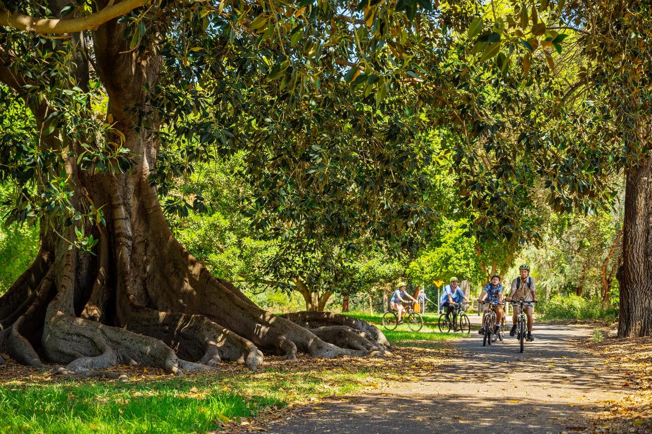 Adelaide City to Sea Bike Tour - Turers - Australia