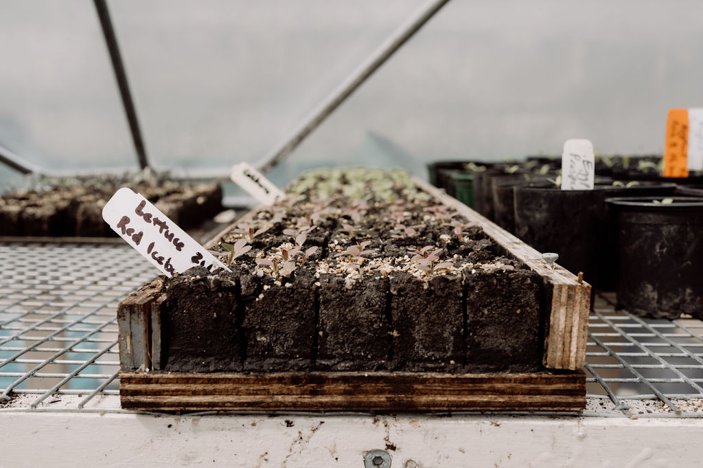 Feed Your Soil: Composting Soil Amendments - The Agrarian Kitchen ...