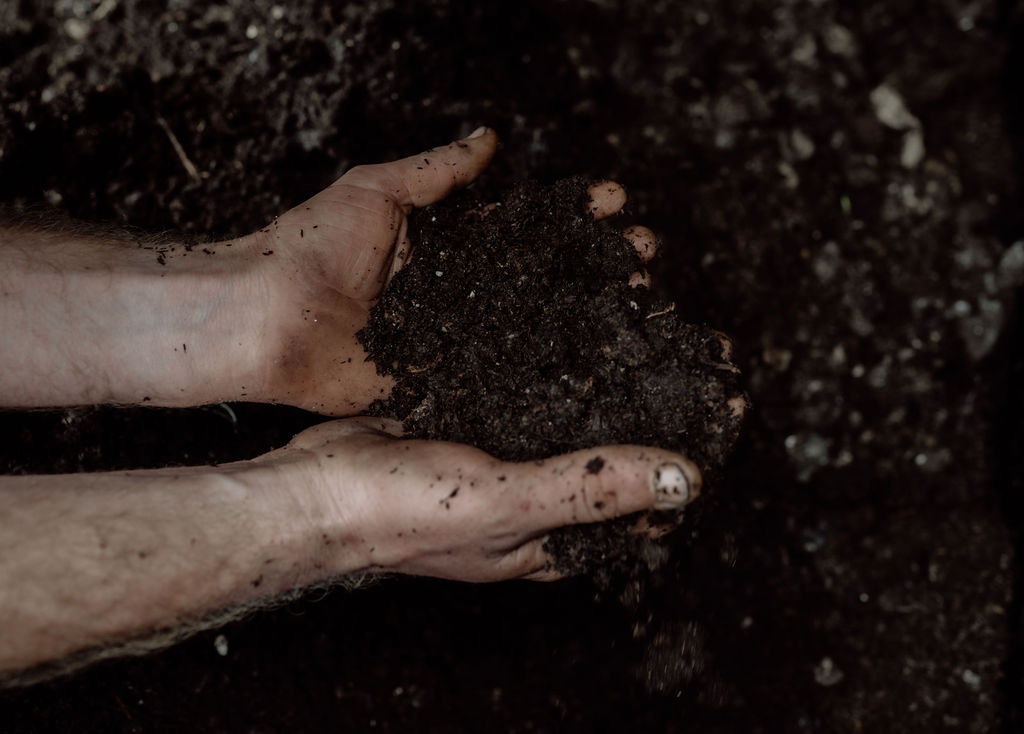 Feed Your Soil: Composting Soil Amendments - The Agrarian Kitchen ...