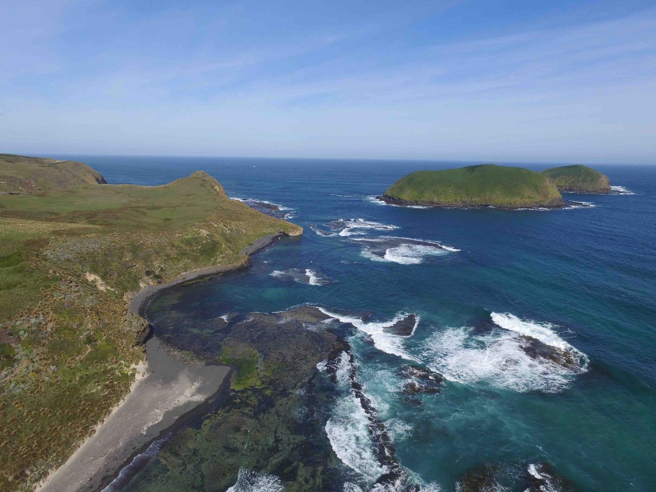 Woolnorth: Aerial Paddock to Plate - Osborne Heli Tours Reservations