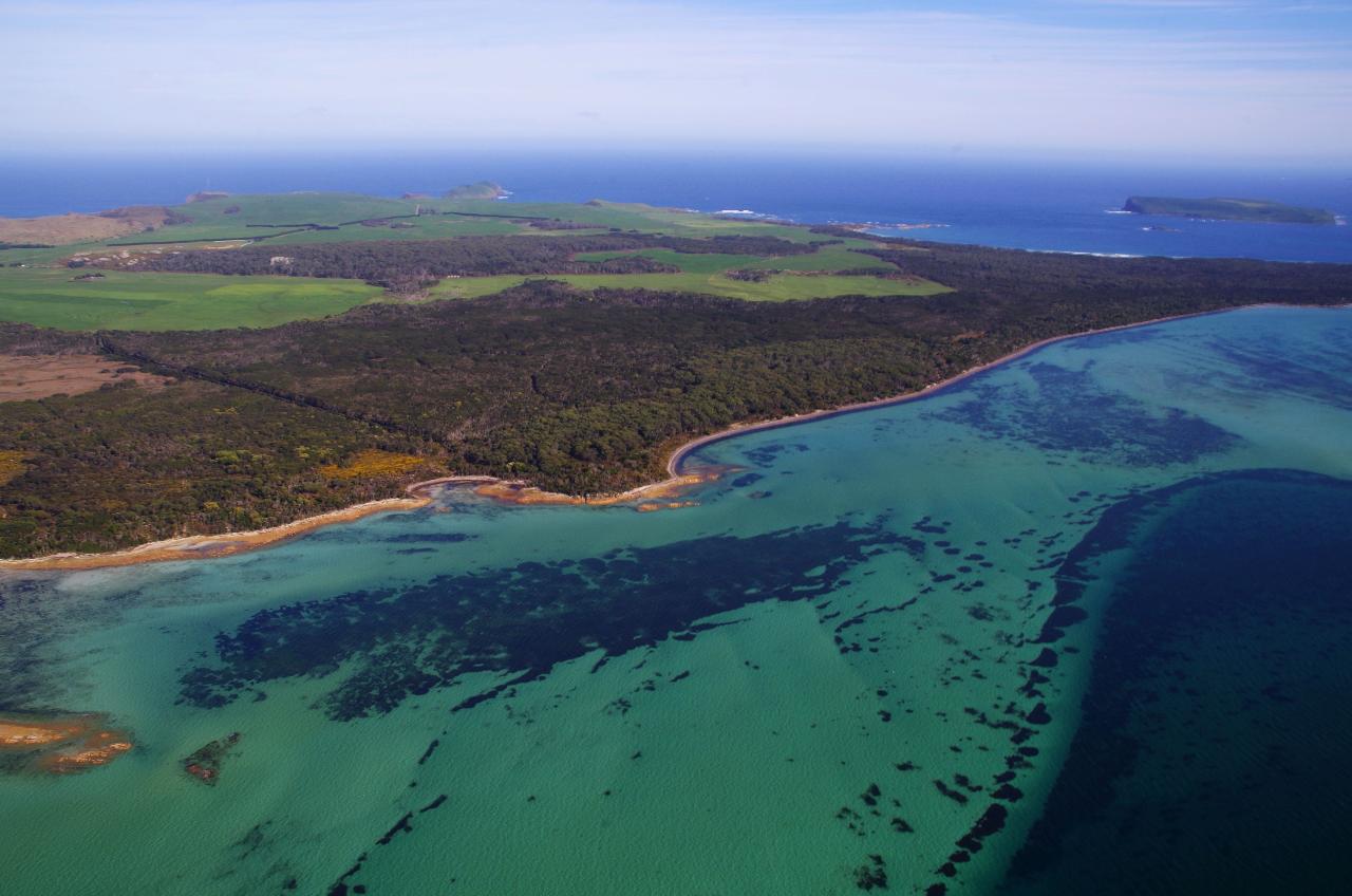 Woolnorth: Aerial Paddock to Plate - Osborne Heli Tours Reservations