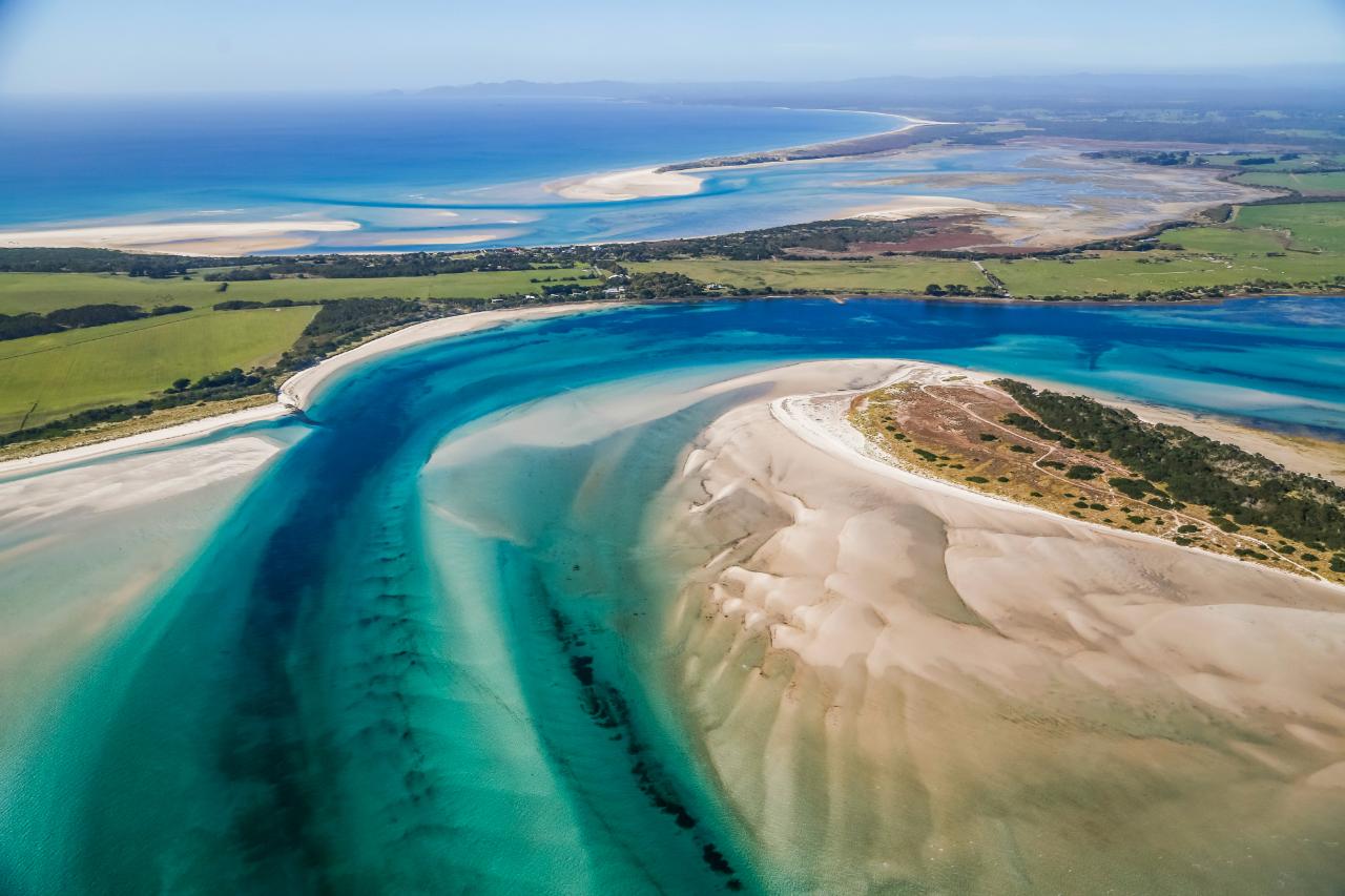 Woolnorth: Aerial Paddock to Plate - Osborne Heli Tours Reservations