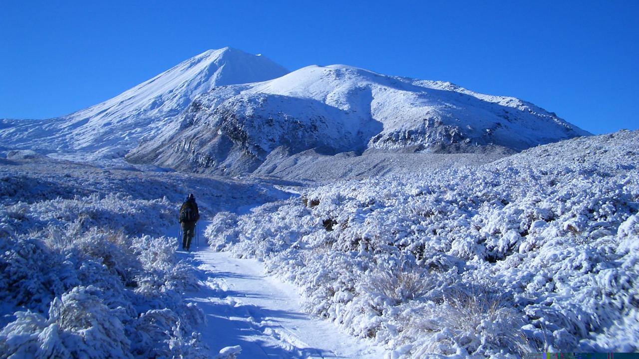 Premium Tongariro Crossing Guided Group Walk - Adrift Tongariro ...
