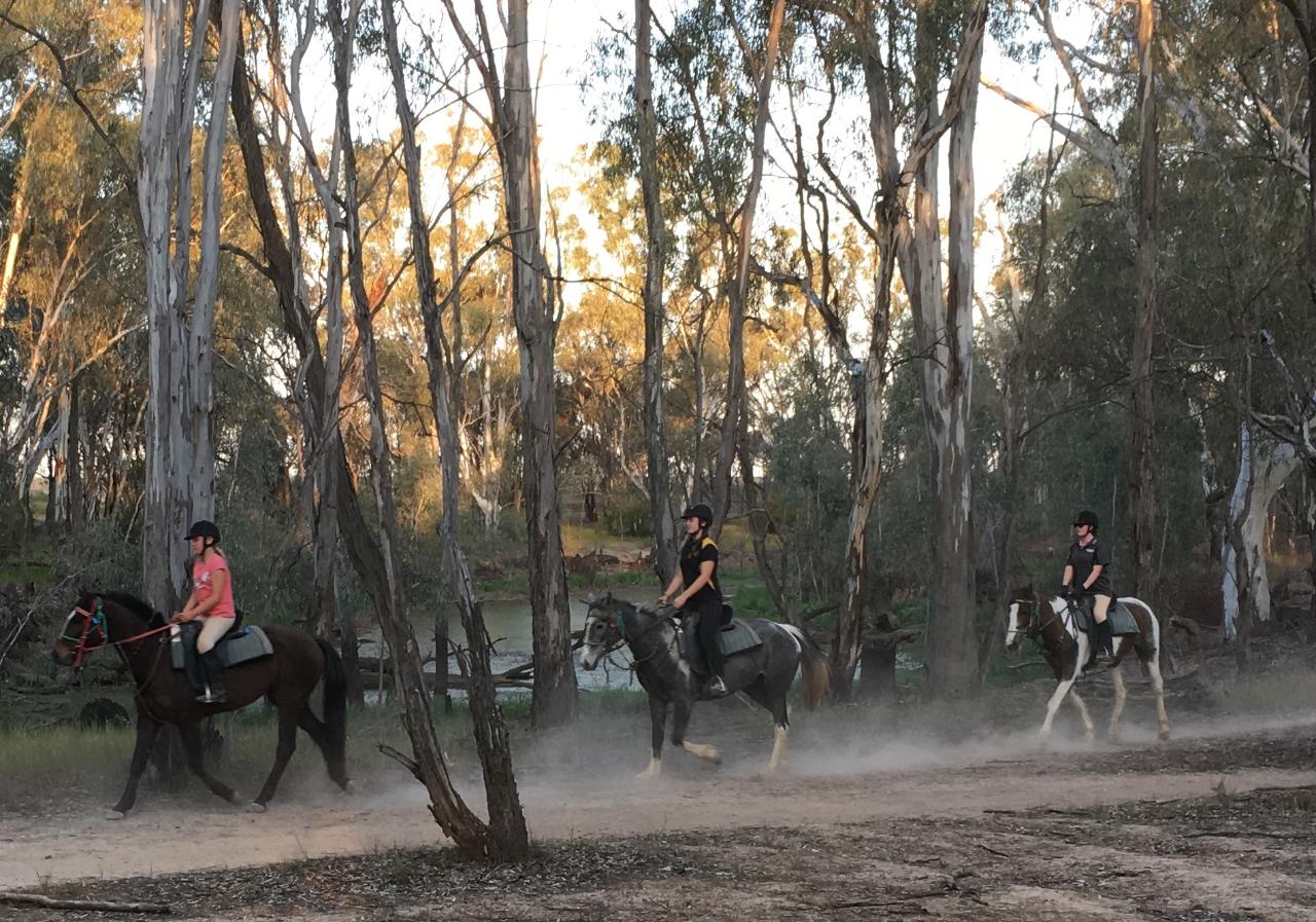 1 Hour Bush & Creek Trail Ride - Billabong Ranch Reservations