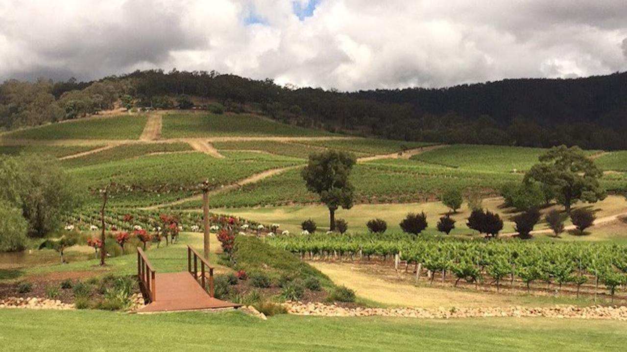 Go Karting & Private Boutique Hunter Valley Winery Tour Half Day from ...