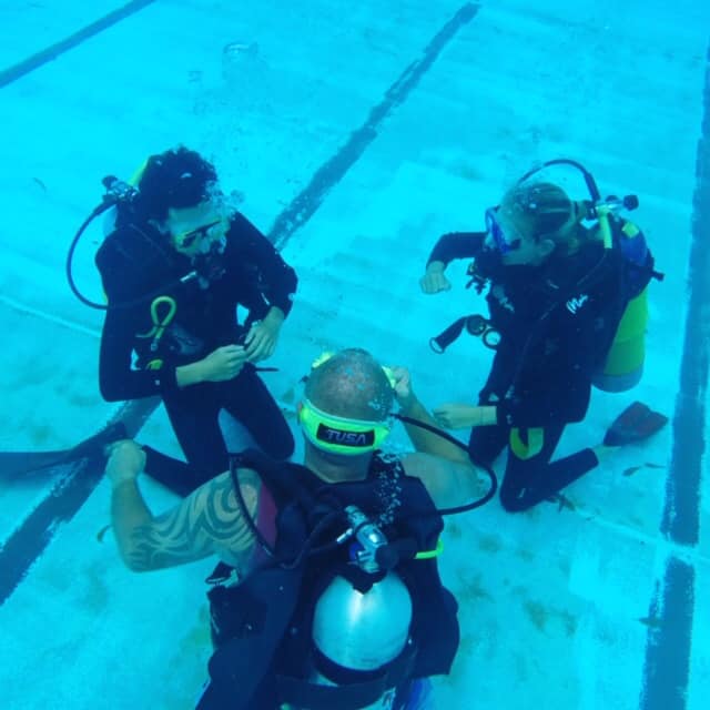 PADI Open Water Diver Course - Learn to Dive on the Sunshine Coast