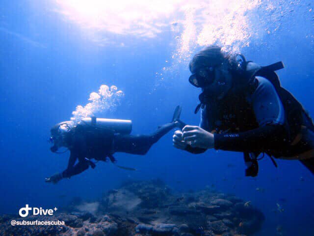Sunshine Coast Scuba Diving Tour - Dive Mooloolaba or Noosa