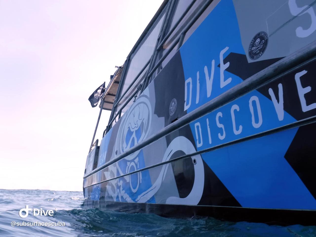 Sunshine Coast Scuba Diving Tour - Dive Mooloolaba or Noosa