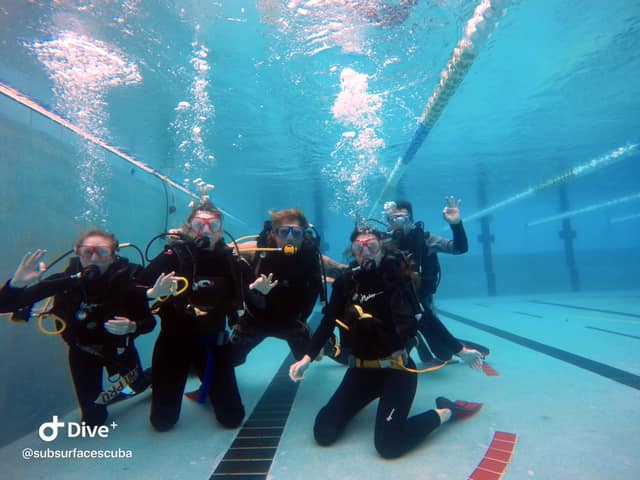 Introductory or Refresher Course Scuba Diving – Pool Session