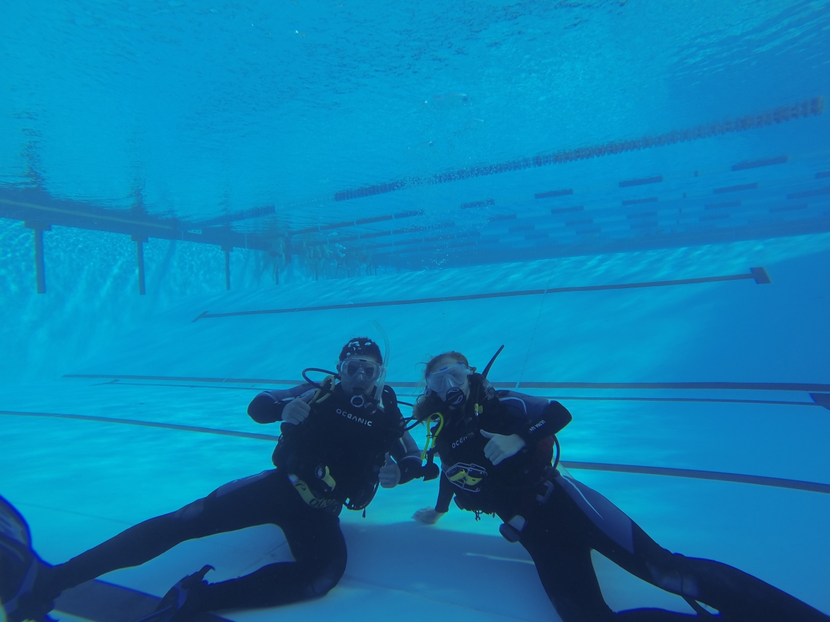 PADI Open Water Diver Course - Learn to Dive on the Sunshine Coast