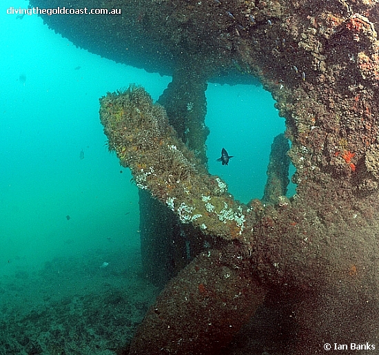 Scuba Diving Tangalooma – Moreton Island Ship Wrecks