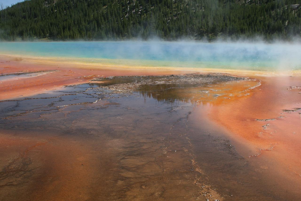 Yellowstone National Park - Full-Day Lower Loop Tour from W ...