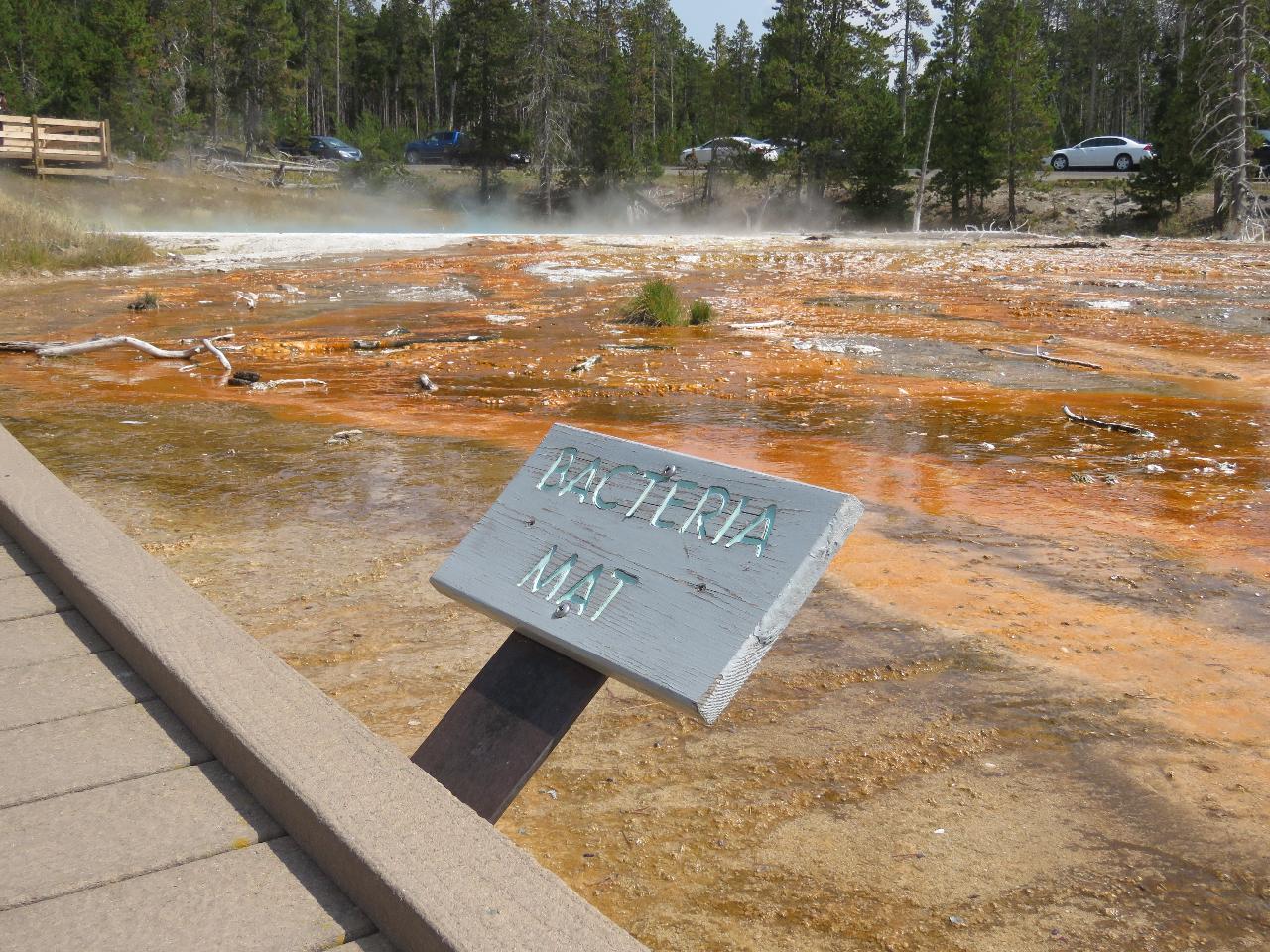 Yellowstone National Park - Full-Day Lower Loop Tour from W ...