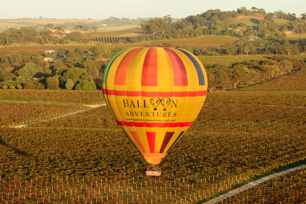 1 Hour Sunrise Balloon Flight with Barossa breakfast - Barossa Balloon ...