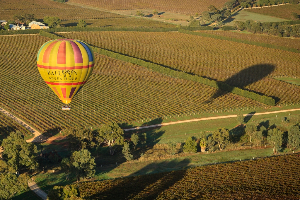 1 Hour Sunrise Balloon Flight with Barossa breakfast - Barossa Balloon ...