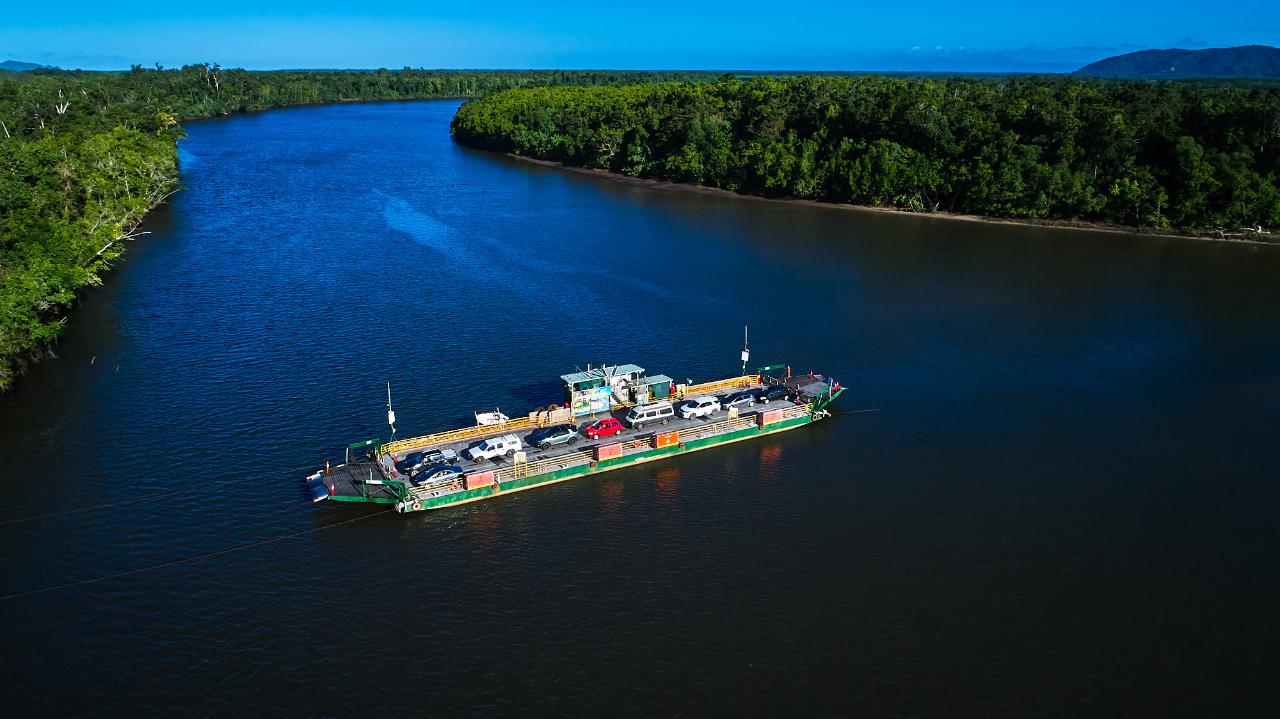 Tour 3 : Greater Daintree Wildlife Cruises from Daintree Village ...