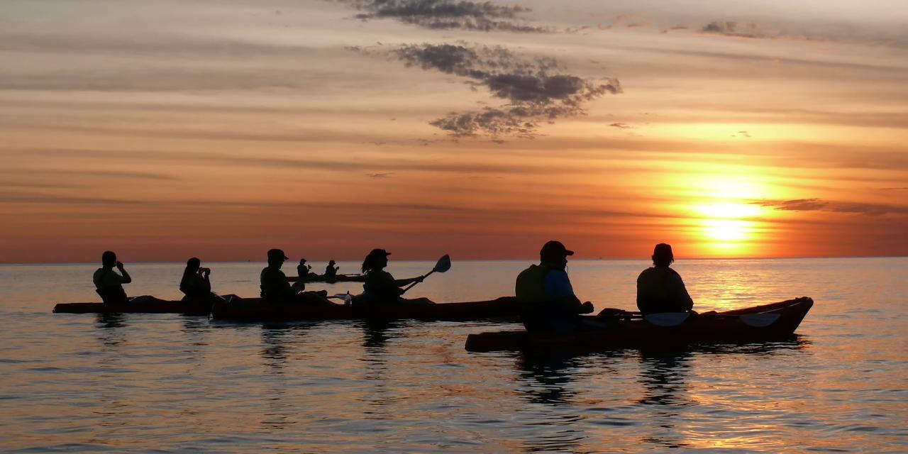 Bookings | Turtle Kayak | Broome Adventure Company