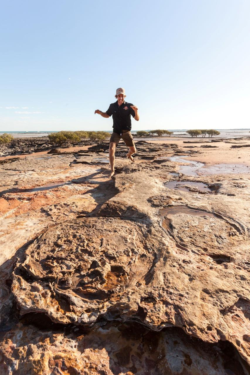 Dinosaur Adventure Tour - Broome Hovercraft and Broome Dinosaur ...