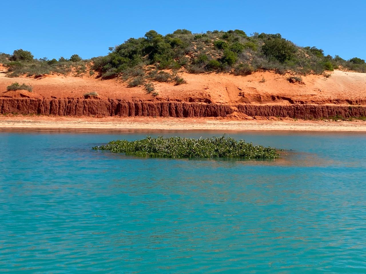 BroomeTime Creek Cruise - Broome Dinosaur Adventures Reservations