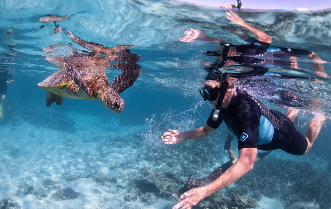 3 Hr Turtle Ecotour - Coral Bay Ecotours Reservations