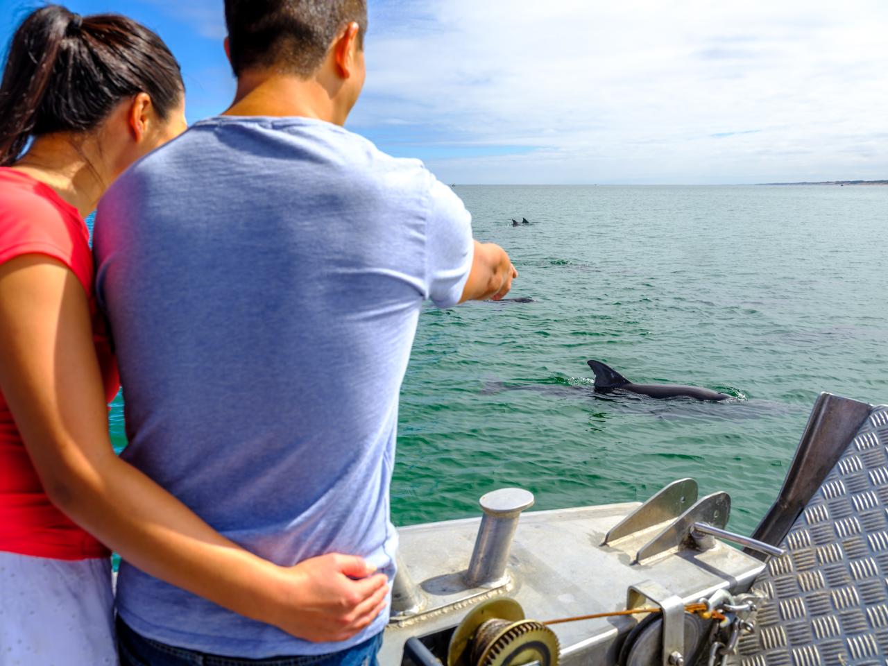 Dolphin Eco-Cruise - Dolphin Discovery Centre Bunbury Reservations