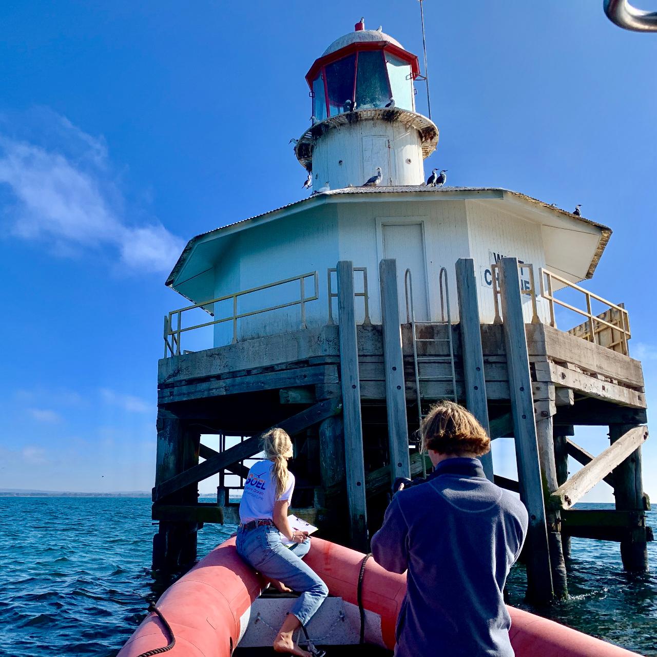 Seal and Dolphin Island Hopping - Sea All Dolphin Swims Reservations