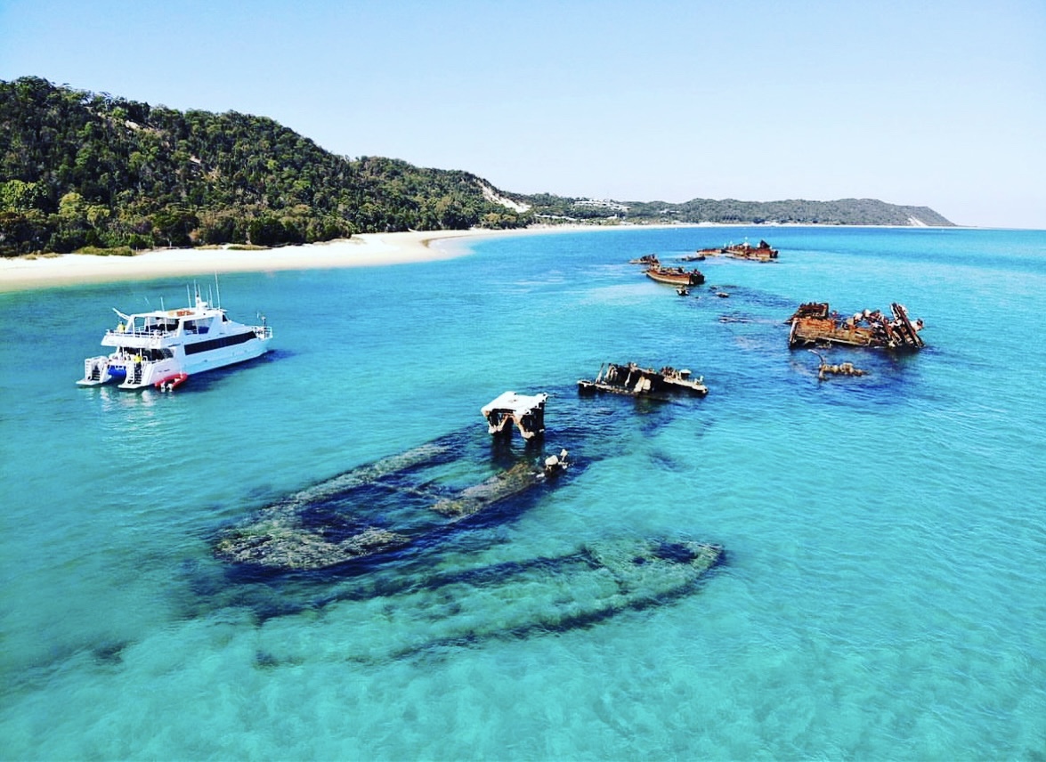 Moreton Island Eco Marine Safari Cruise and Snorkel - Dolphin Wild ...