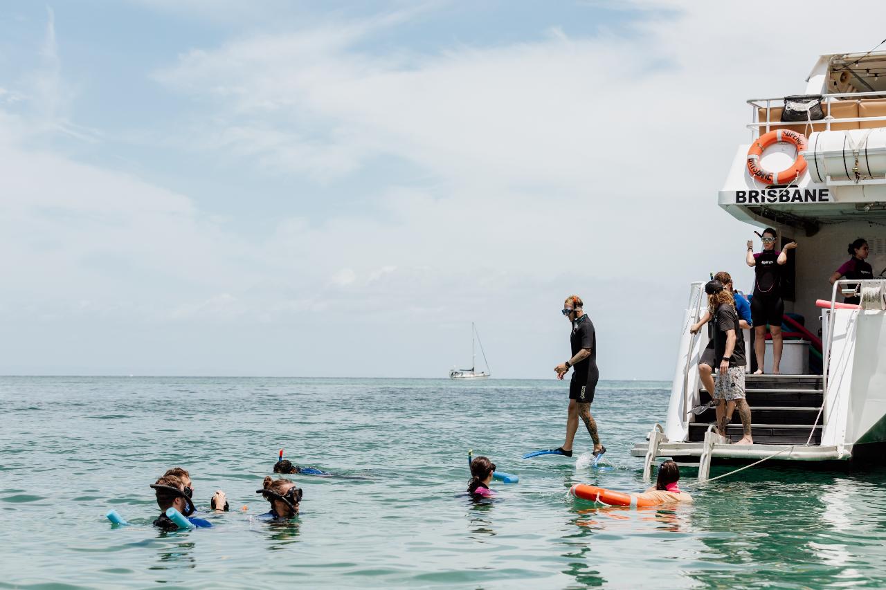 Moreton Island Eco Marine Safari Cruise and Snorkel - Dolphin Wild ...